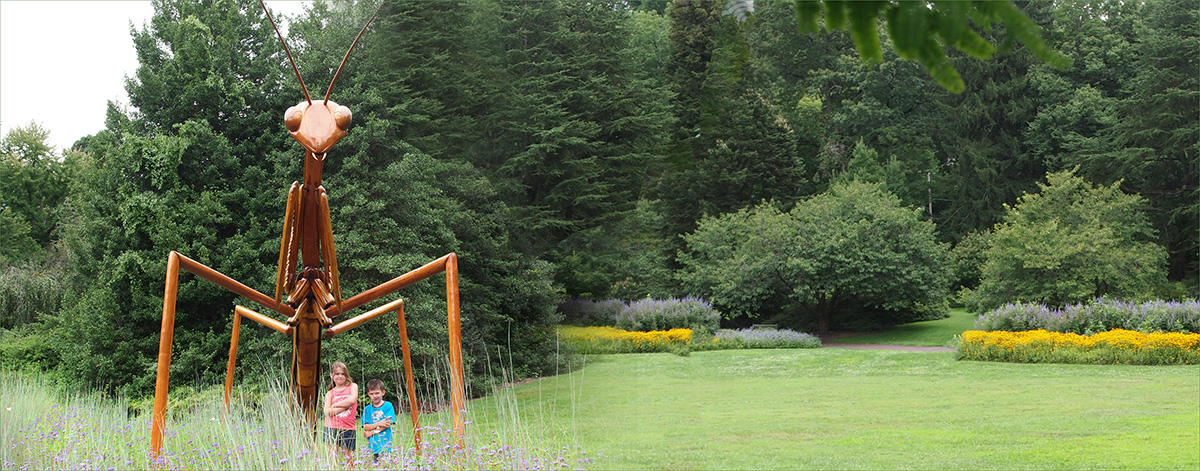 Gigantic Bug Sculptures of David Rogers Infest Arboretum - HOAGonSight