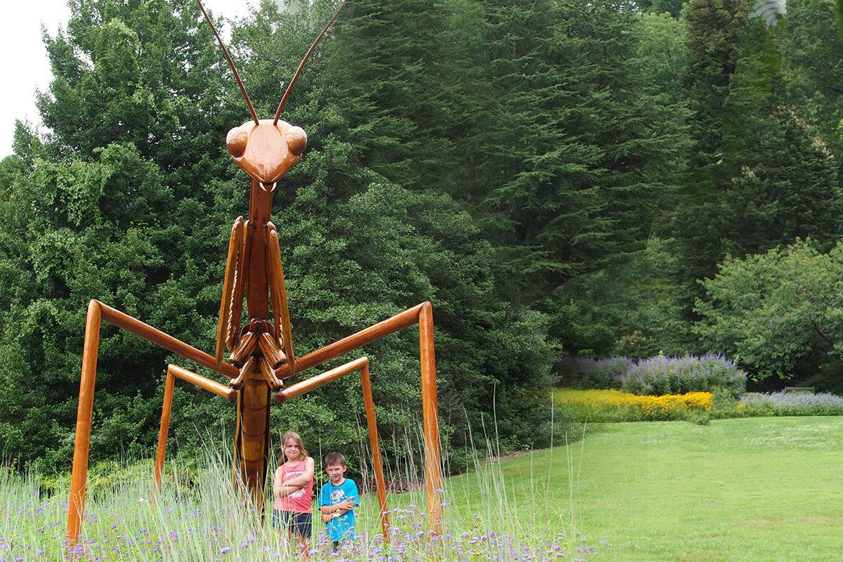 Gigantic Bug Sculptures of David Rogers Infest Arboretum - HOAGonSight