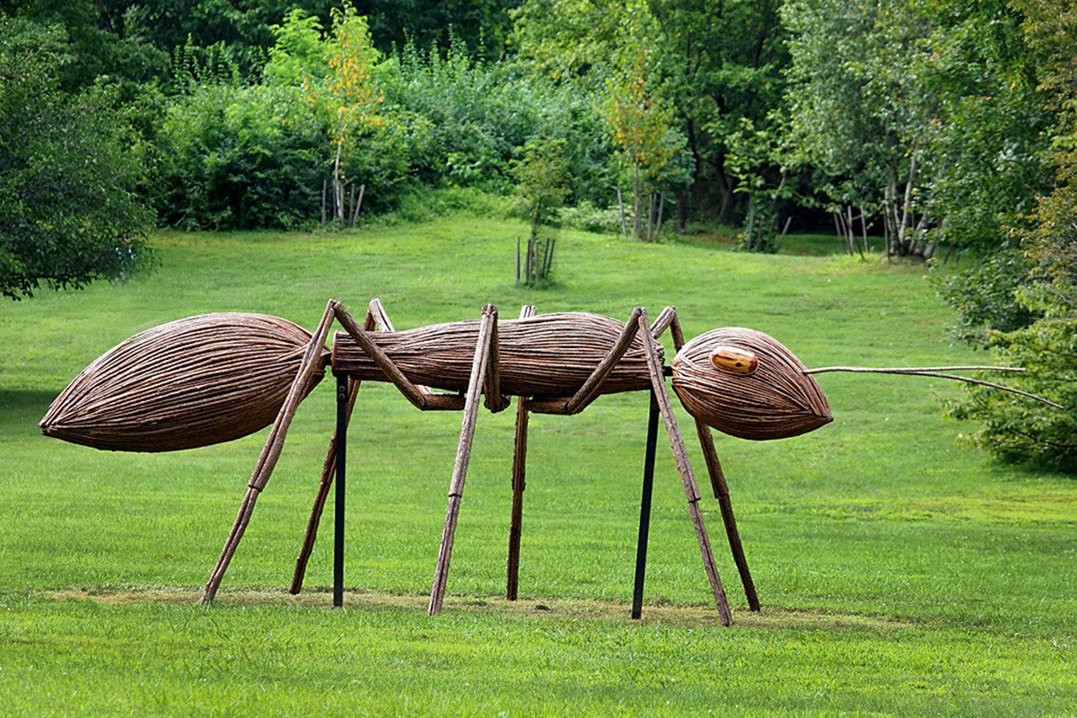 Gigantic Bug Sculptures of David Rogers Infest Arboretum - HOAGonSight