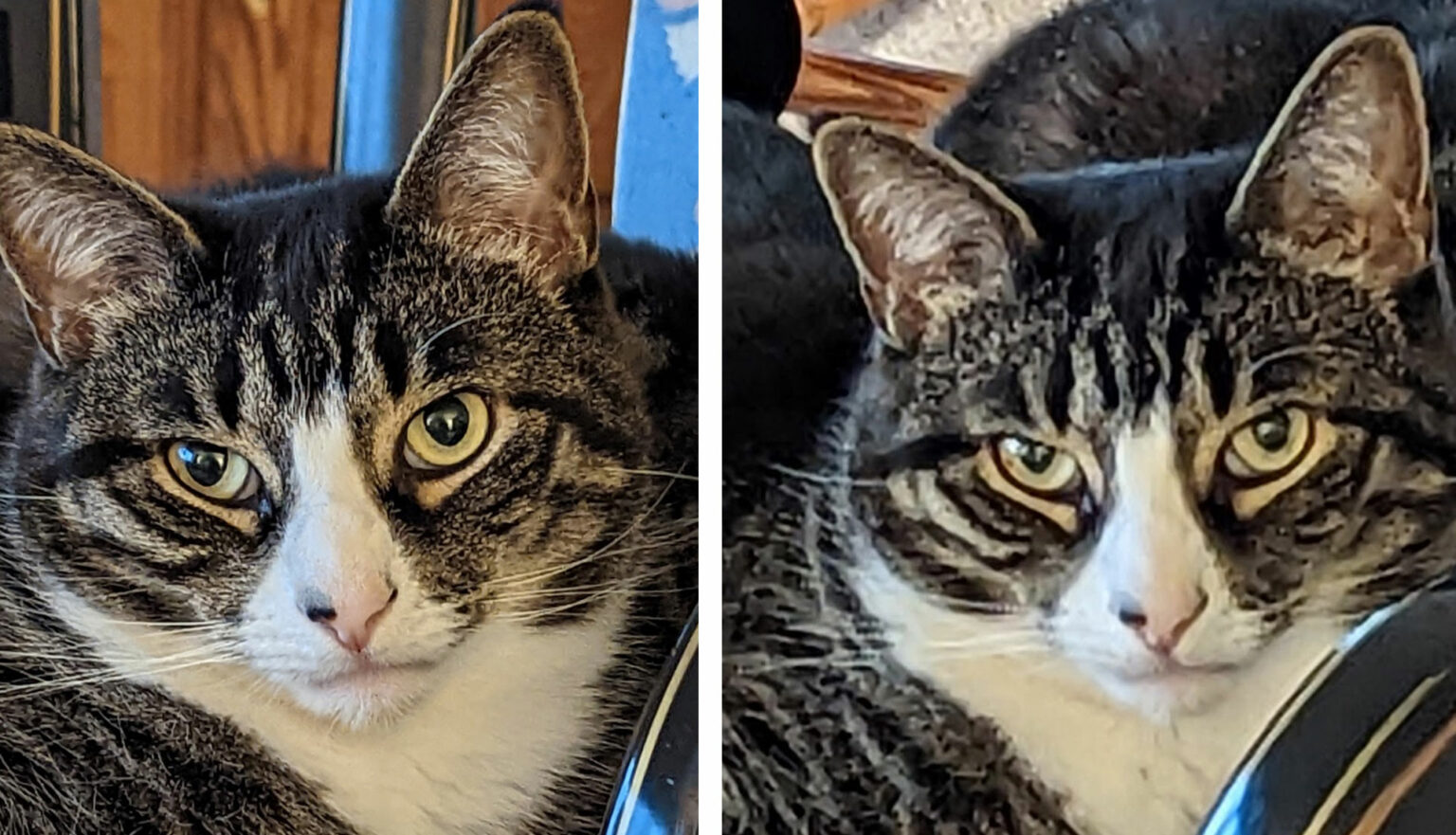 The Pixel 6 & 7 Cameras' Over Processing and Image Distortion Problems ...